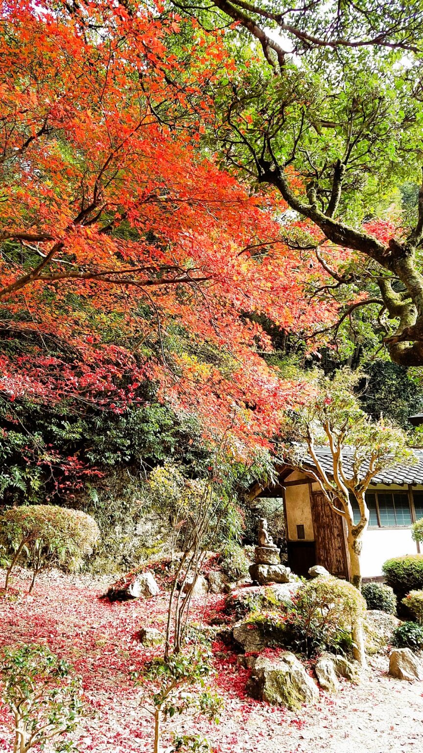 Hyogo Central Region Attractions! – Japan Discovery Blog