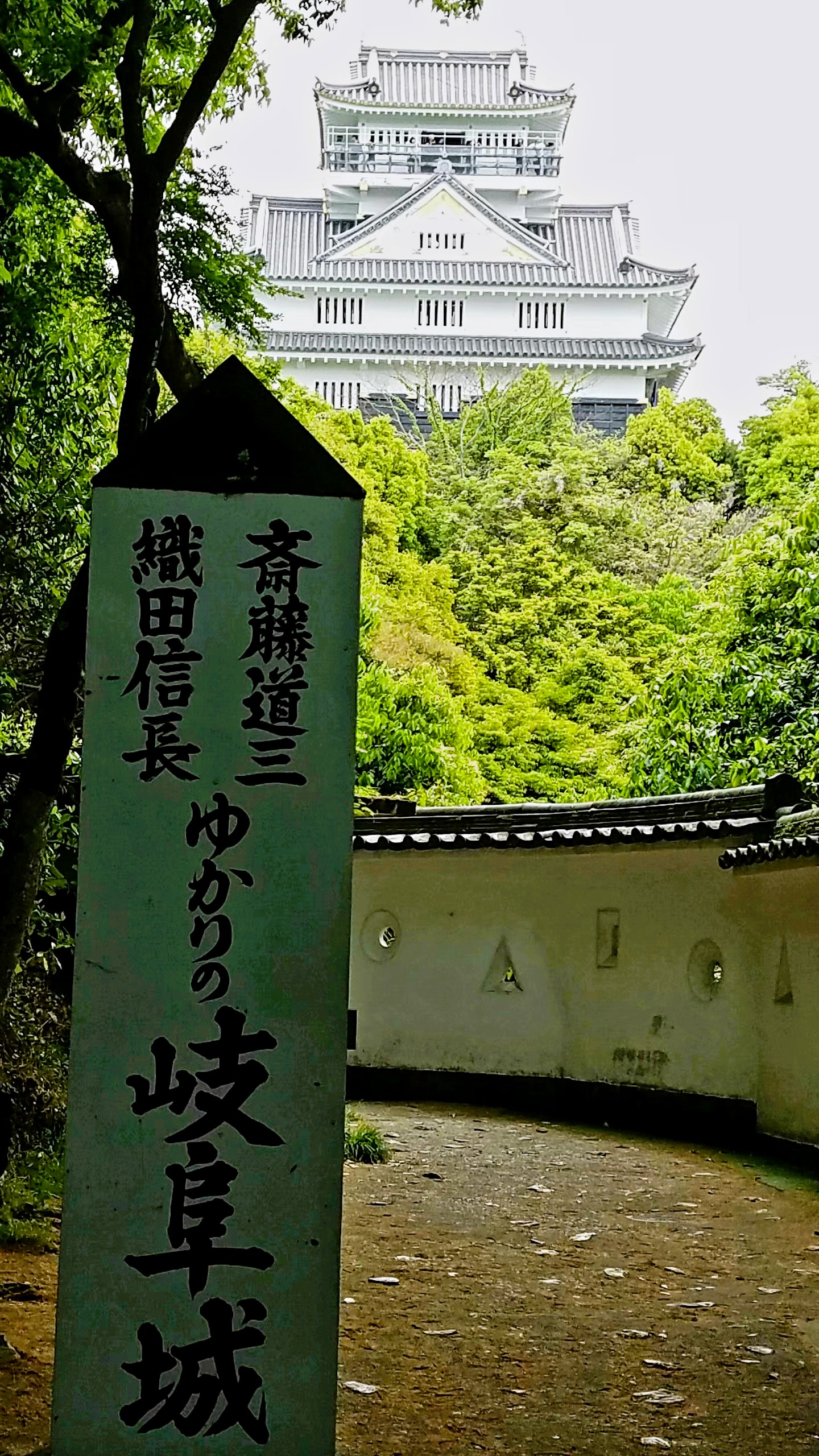 Gifu Tourist Attractions and famous food! - Japan Discovery Blog