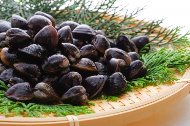 Shimane Prefecture Famous Food！ – Japan Discovery Blog